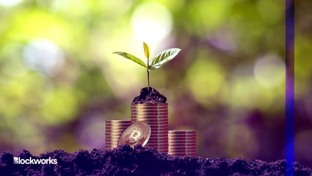 Did Bitcoin Bottom in November? These Metrics Suggest So. - Blockworks