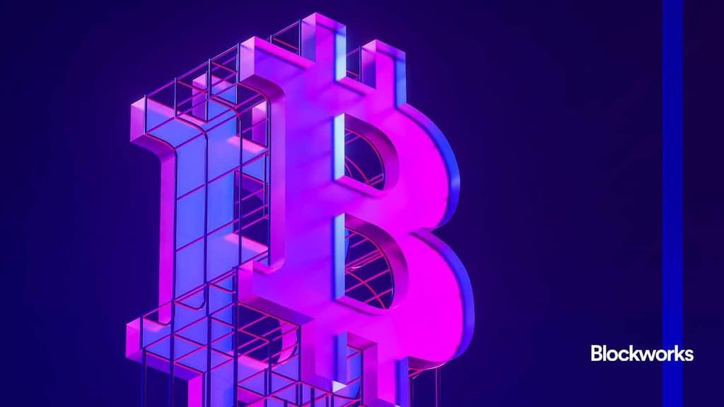 Bitcoin's history of bull market drawdowns - Blockworks