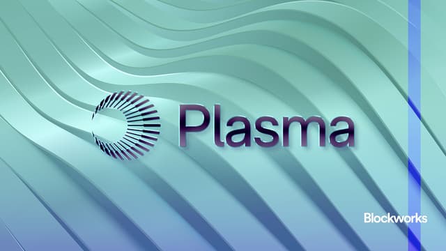 Plasma opens stablecoin bank Plasma One for dollar access - Blockworks